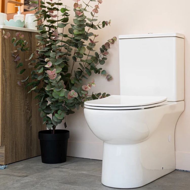 Bathroom Reno: Important Considerations When Choosing a Toilet | The ...